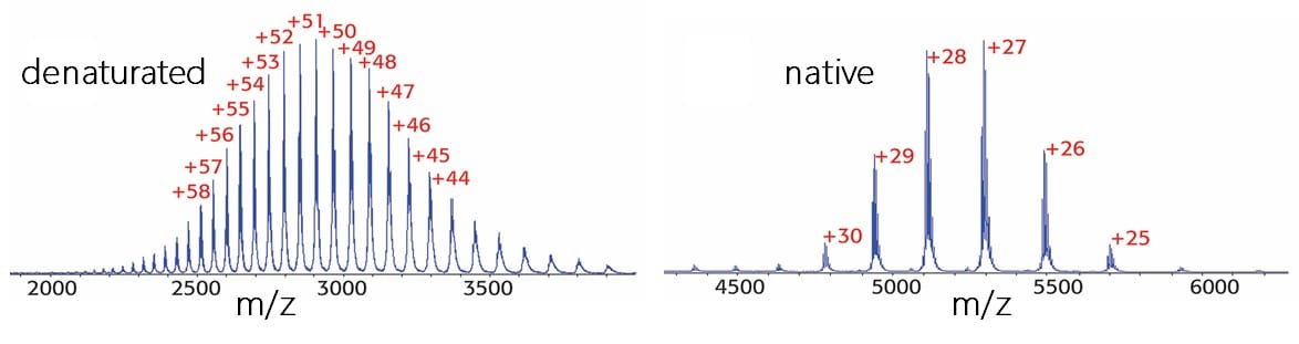 Characterization of intact and modified proteins by mass spectrometry ...
