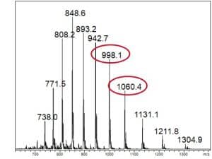 Protein Molecular Weight Calculator from ESI Spectra - MS Vision